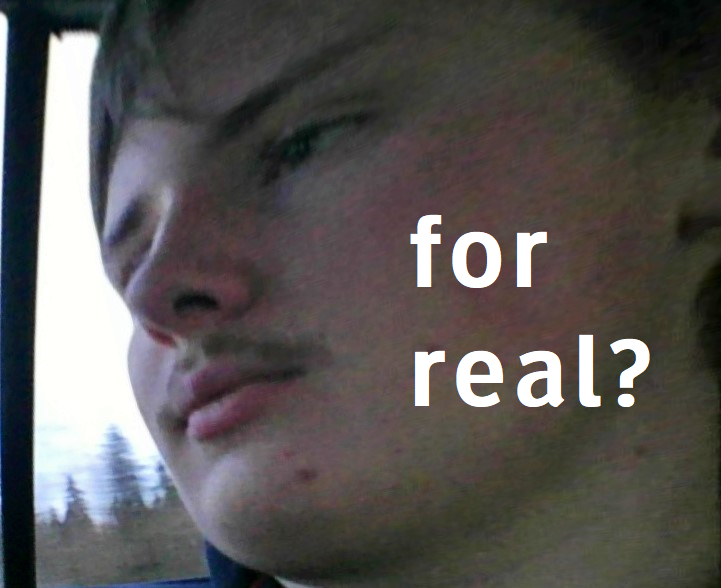 Invest in this photo of a disapproving disappointed 14-year-old : r ...