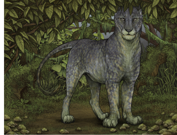 DD02-D905-05-DC-47-BA-A733-21-DDB292-F0-C0 hosted at ImgBB — ImgBB