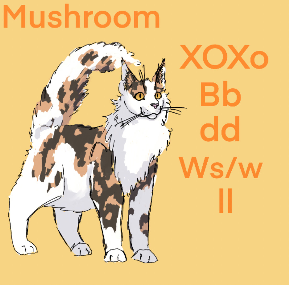 The kitty nursery [WIP] :|: Lioden