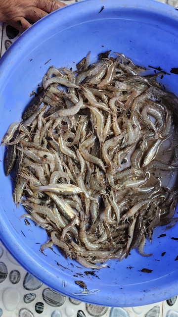 20221108-120740 hosted at ImgBB — ImgBB