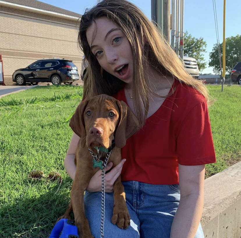 IMG-2962 hosted at ImgBB — ImgBB