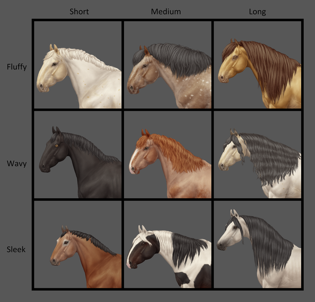 Mane & Tail Inheritance (New art!) • Horse World Online
