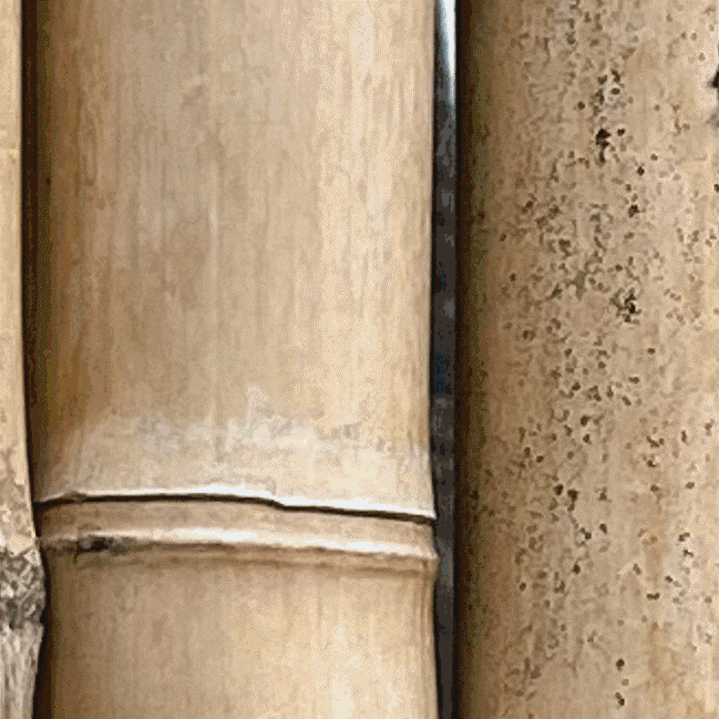 Global Warming: IELTS Speaking Part 2 – ECOBLOG