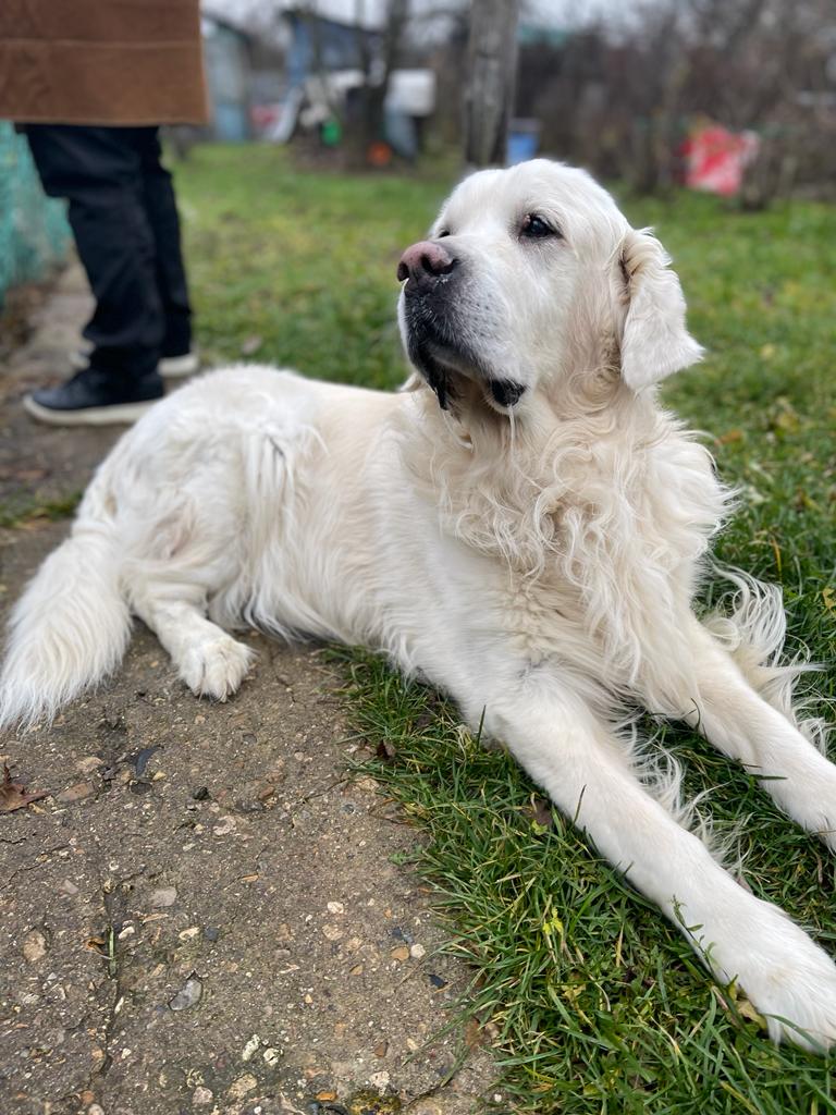 IMG-20221112-WA0016 hosted at ImgBB — ImgBB