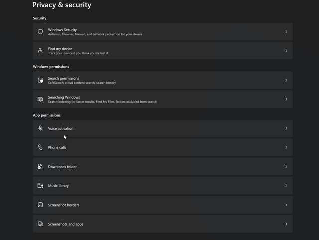 App Permission and Windows Permission not showing in Privacy and ...