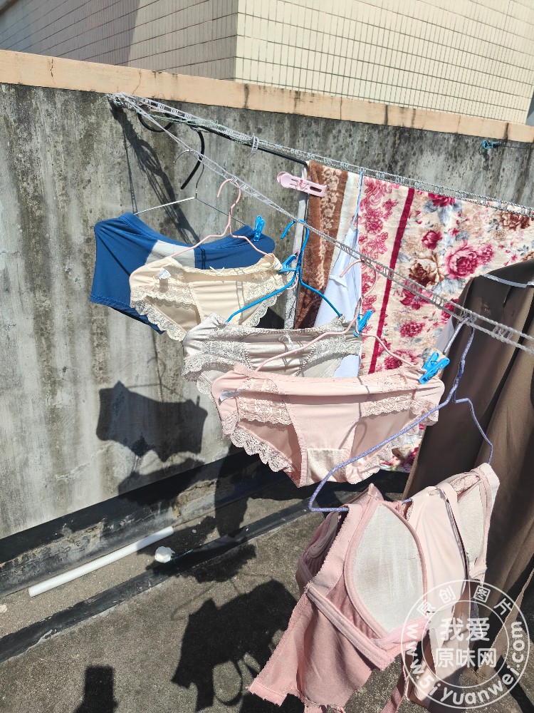 IMG-8471 hosted at ImgBB — ImgBB