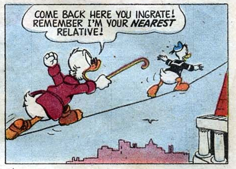 Quackmore Duck