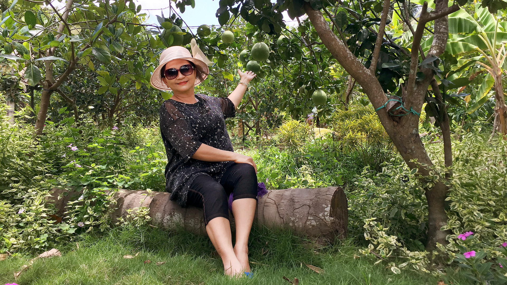 n-IMG-0223 hosted at ImgBB — ImgBB