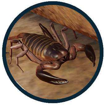 Giant Flat Rock Scorpion - New Exhibit Species (1.16) at Planet Zoo ...