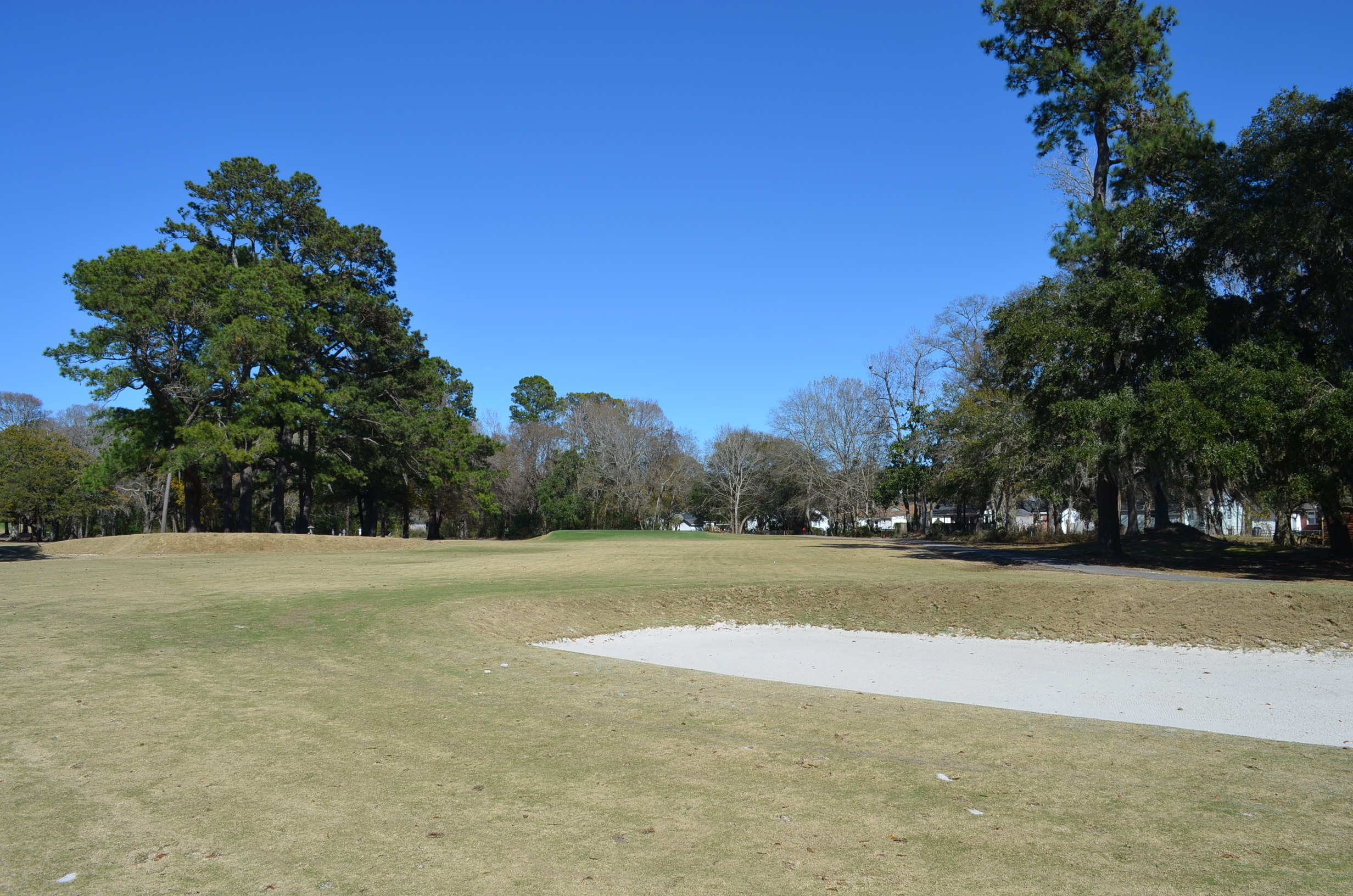 DSC-0794 hosted at ImgBB — ImgBB