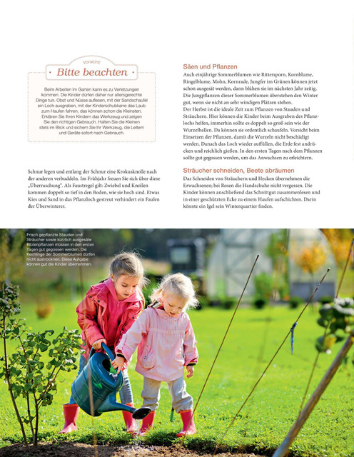 0016 hosted at ImgBB — ImgBB