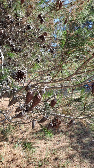 20230716-160908 hosted at ImgBB — ImgBB