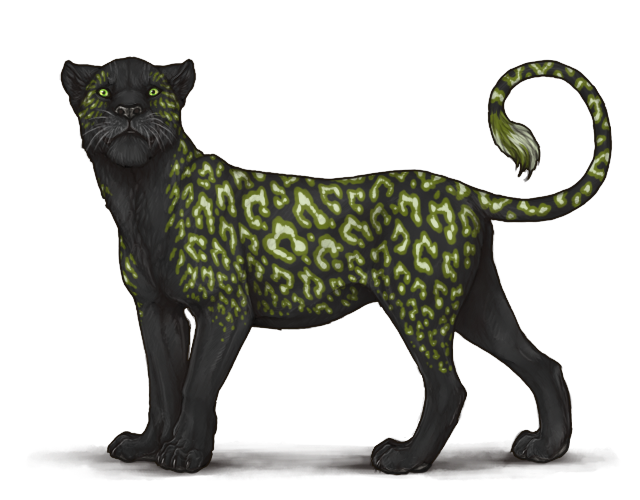 (⚜️) - Ultimate Breed only guide :|: Lioden
