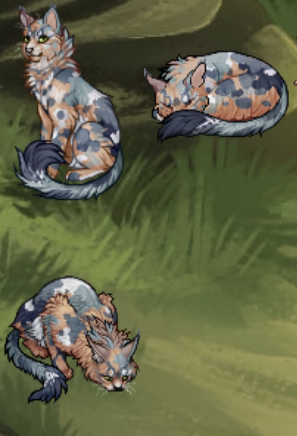 IMG-7253 hosted at ImgBB — ImgBB