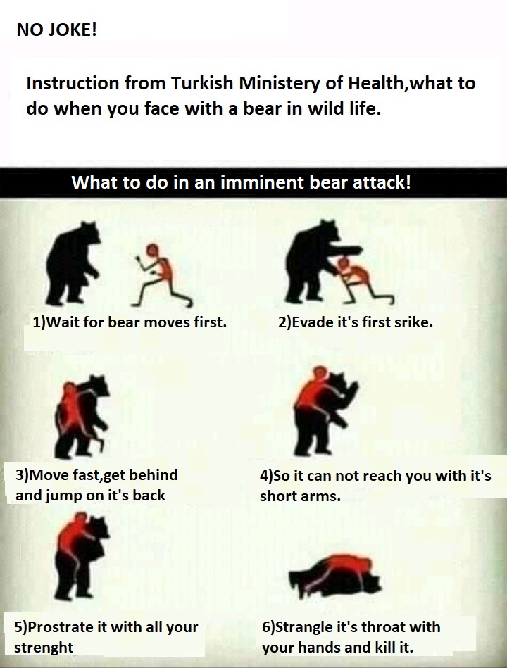 How you kill a bear in wildlife.Turkish Ministery of Health shows you ...