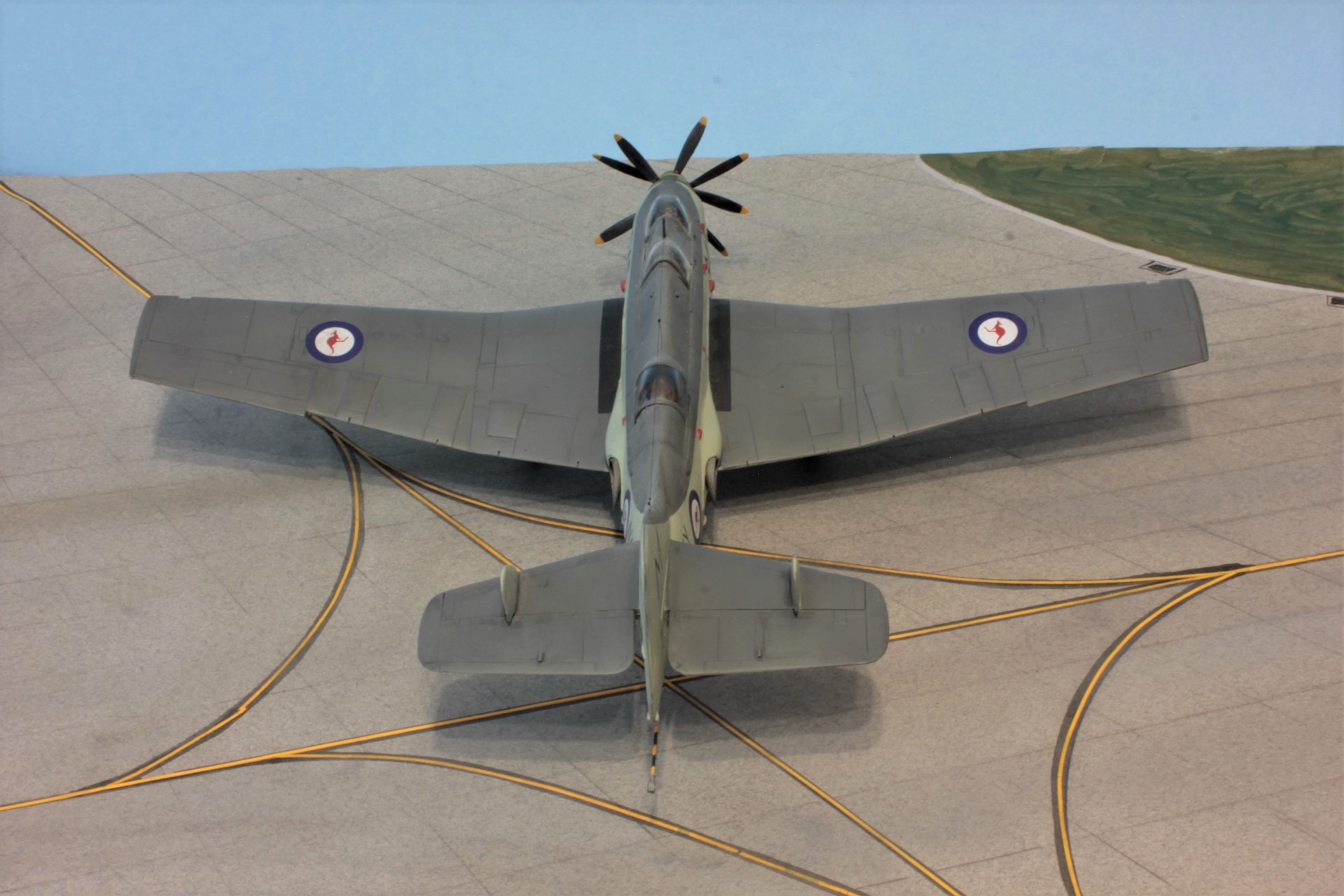 Royal Australian Navy's Fairey Gannet AS Mk 1/4 - Ready for Inspection ...