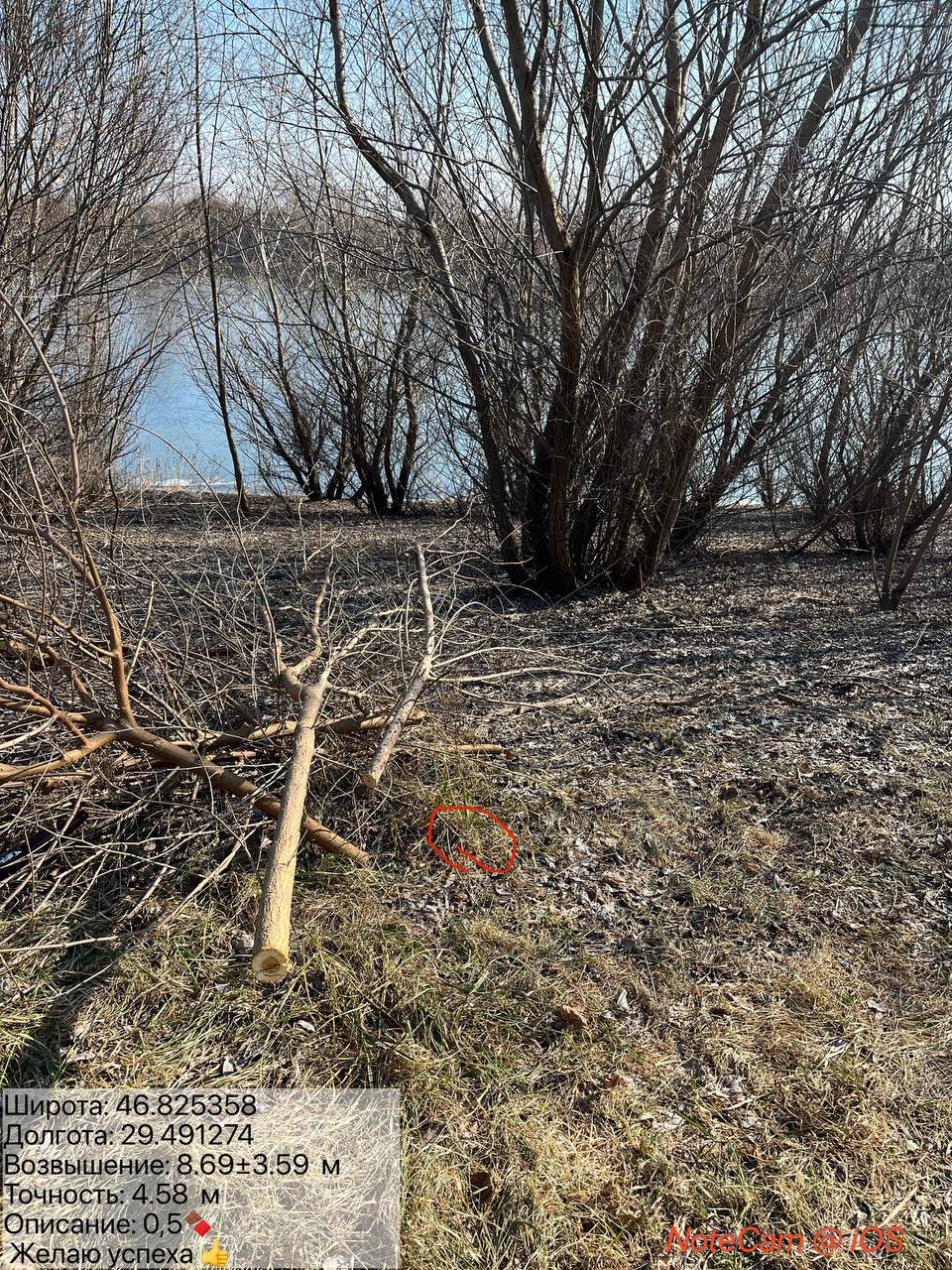 IMG-3844 hosted at ImgBB — ImgBB