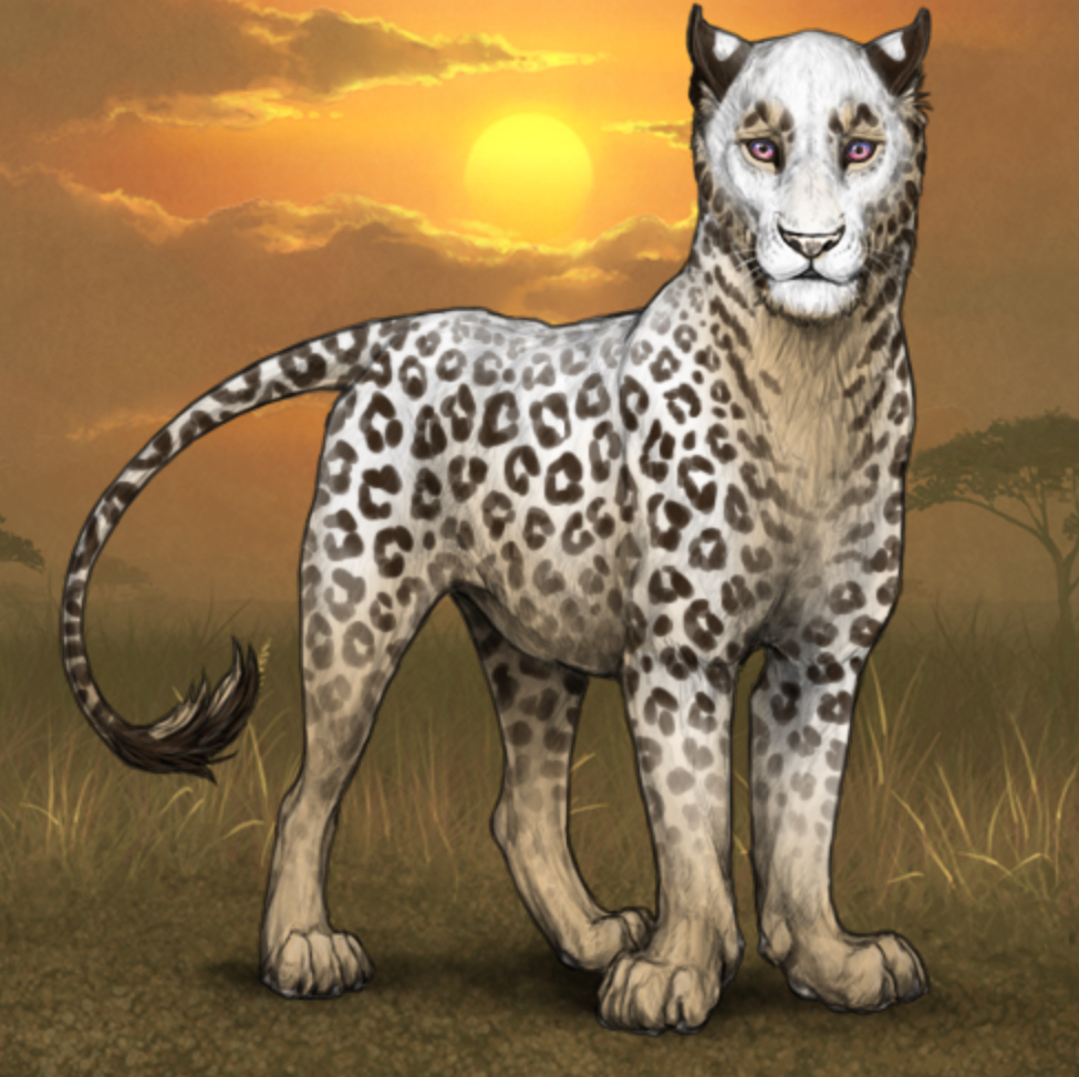 CF18-DAAE-B834-4-EF7-88-F4-A8-E0-B1-A13795 hosted at ImgBB — ImgBB