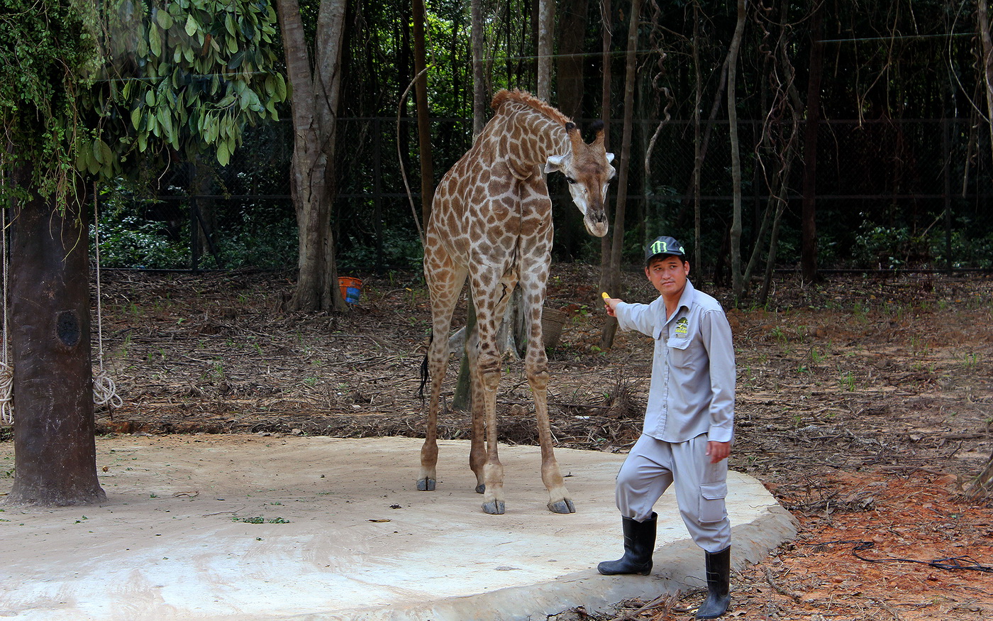 IMG-0336 hosted at ImgBB — ImgBB