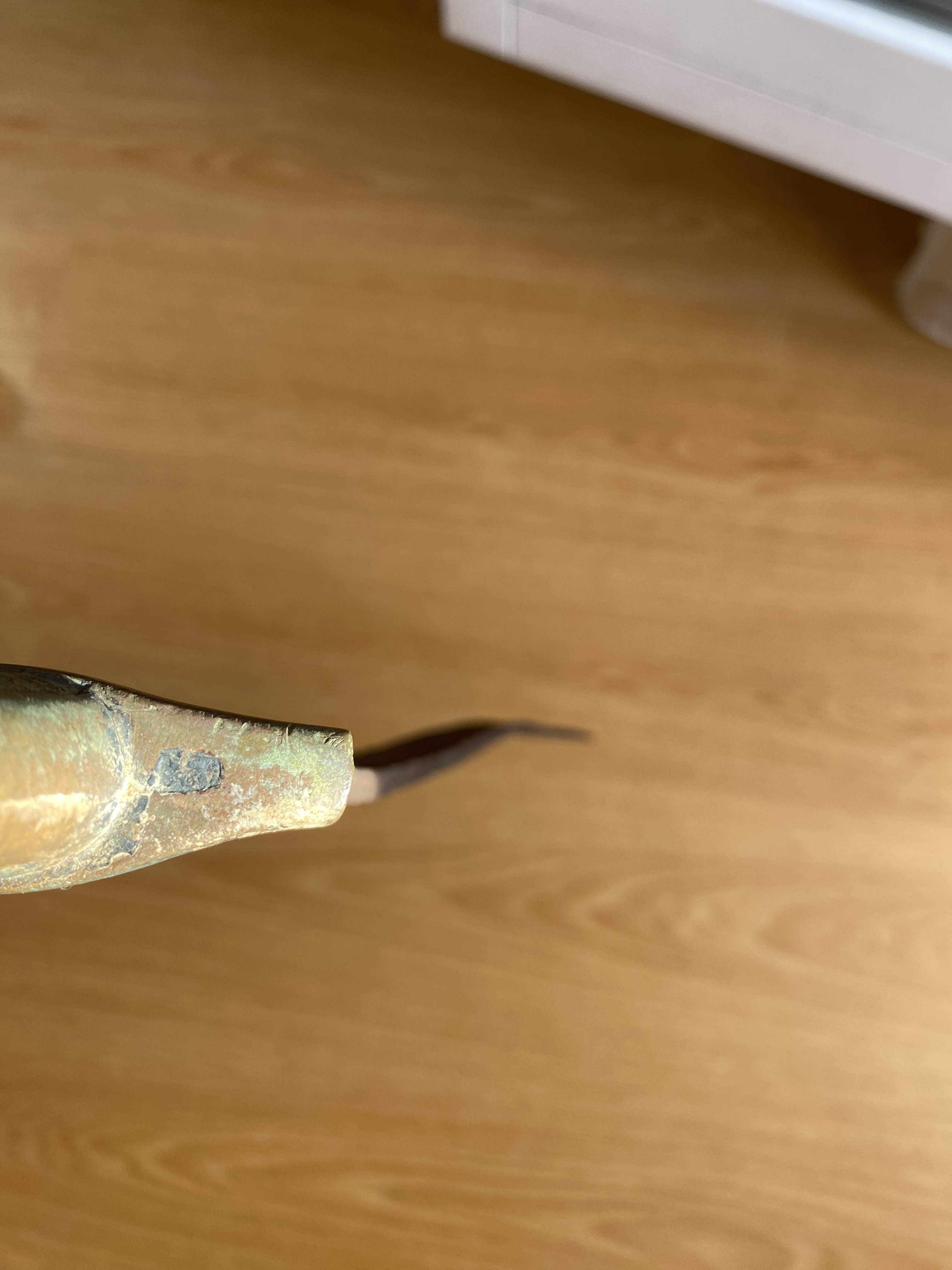 IMG-1523 hosted at ImgBB — ImgBB