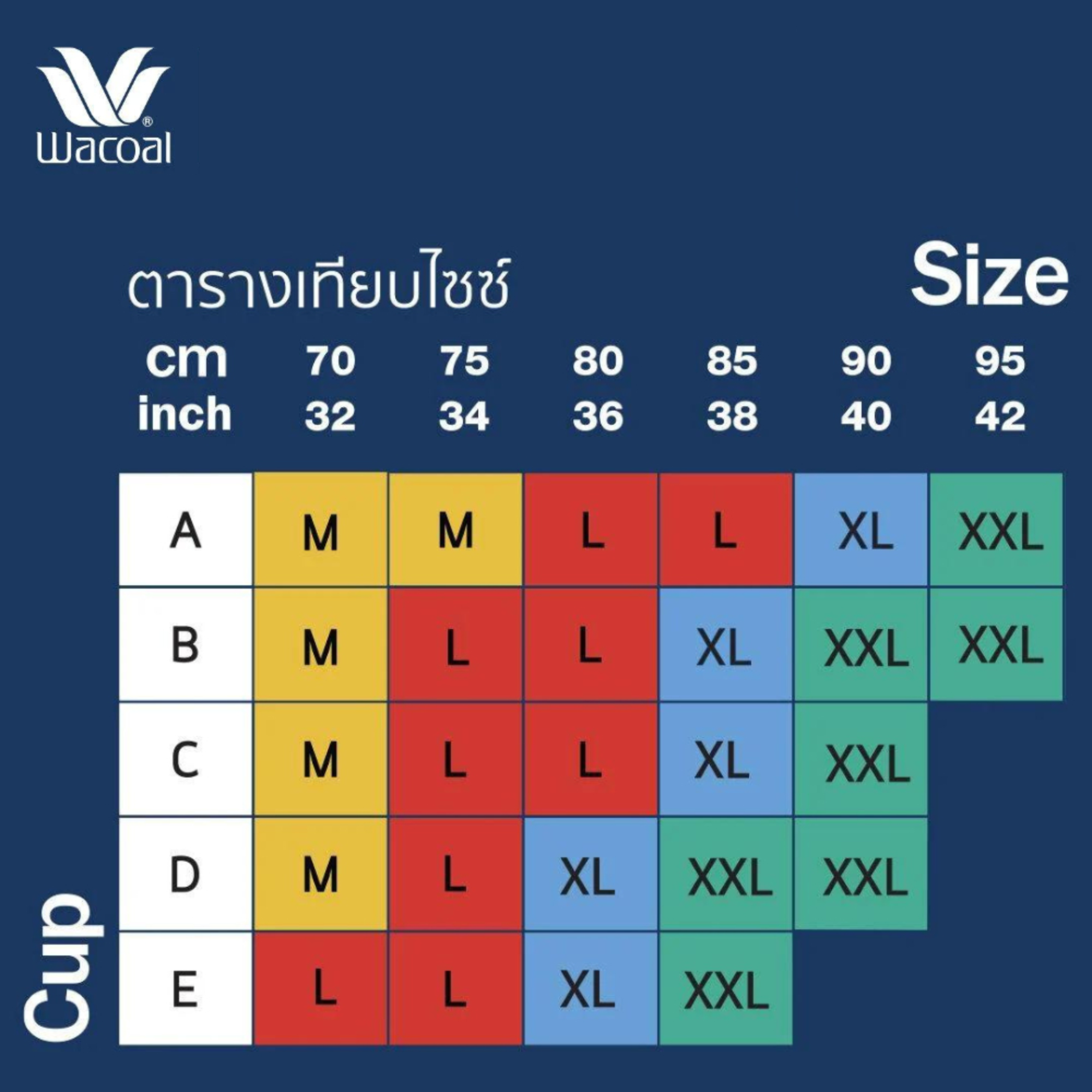 WACOAL เสื้อชั้นในสำหรับผู้หญิง รูปแบบ Smart Size ผ้าลูกไม้ สีดำ | ลด ...