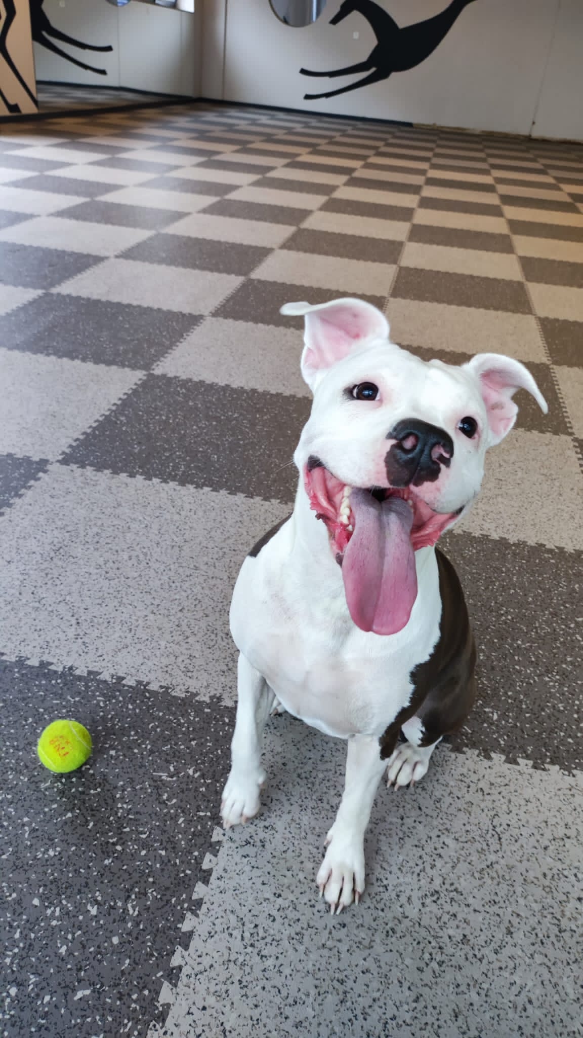 24-D5-AF61-FB7-F-44-E6-A546-0873-A3-DE1-E37 hosted at ImgBB — ImgBB