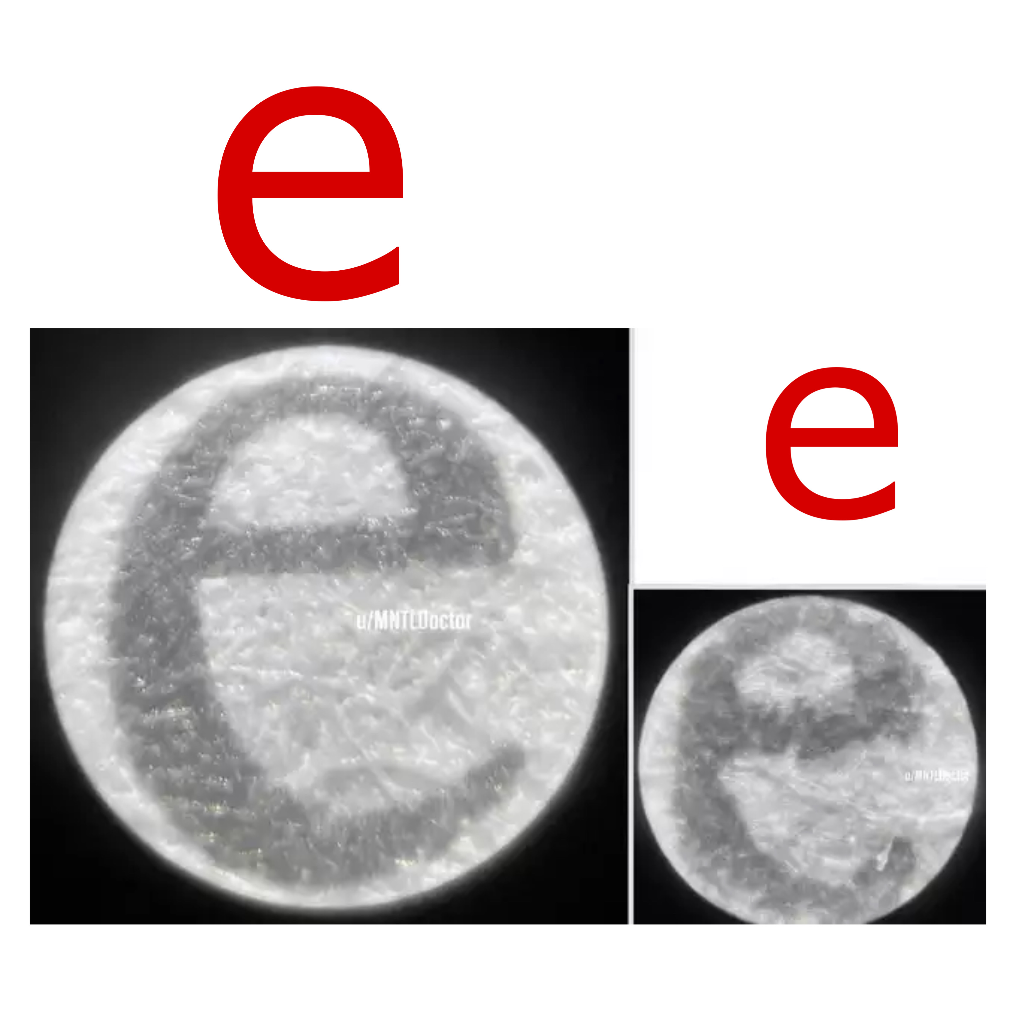 BEC14395-1786-4922-BC54-636-F922-C345-E hosted at ImgBB — ImgBB