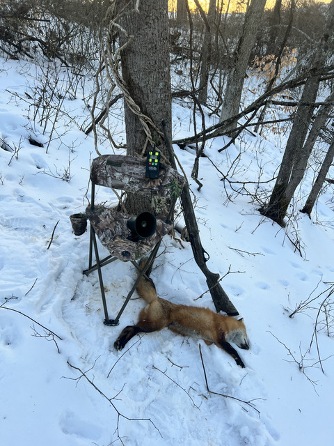 Electronic Predator Call - 24hourcampfire