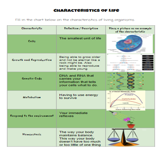 Biology Study Guide