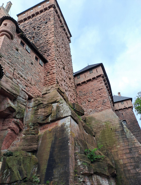 20230901-110617 hosted at ImgBB — ImgBB