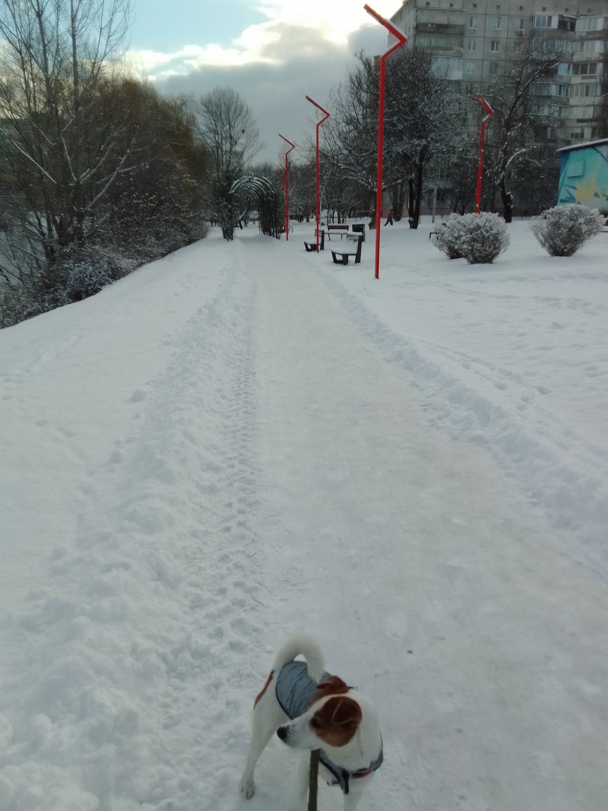 viber-2025-03-06-13-57-43-507 hosted at ImgBB — ImgBB