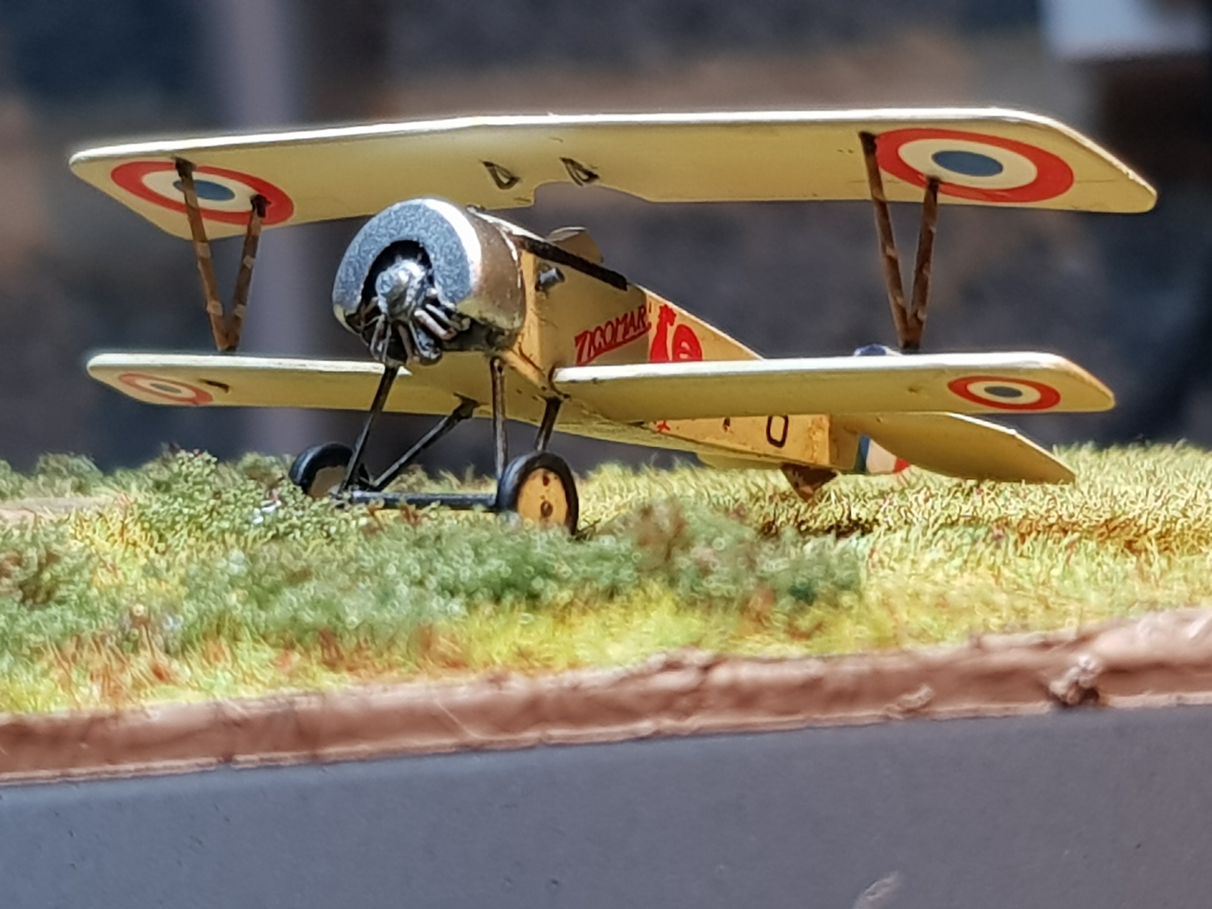 Nieuport 11, Paul Tarascon, Escadrille N62 - Work in Progress ...
