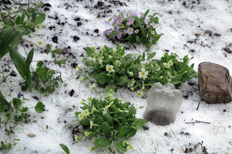 IMG_5142 hosted at ImgBB — ImgBB