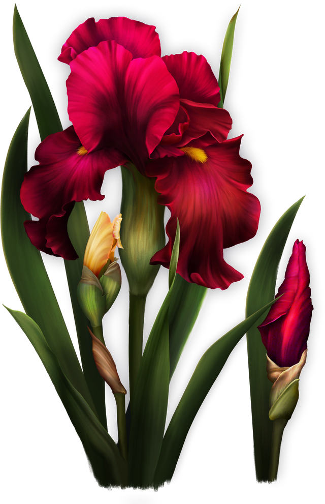 3a hosted at ImgBB — ImgBB