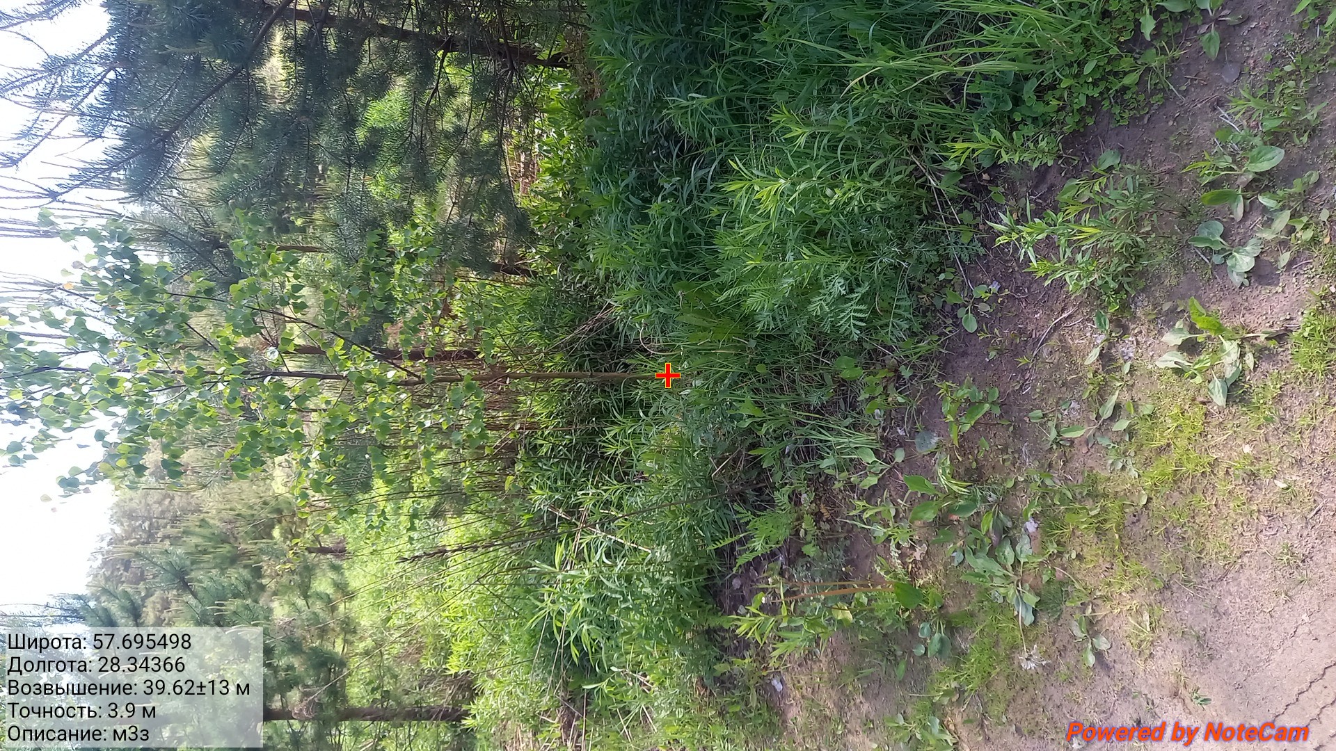 20230605-110635 hosted at ImgBB — ImgBB