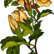 3d07e7df07ae6f8a3fbd19ac18f35694 hosted at ImgBB — ImgBB