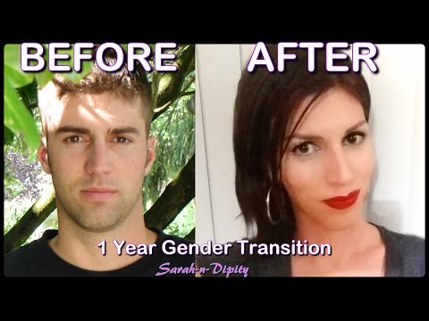 Cars, Tools, MTF Trans, Youtuber