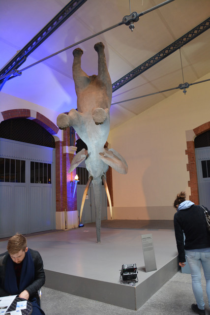 DSC-0172 hosted at ImgBB — ImgBB