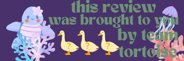 The Great Team Tortoise Race of 2025 • Young Writers Society