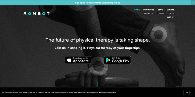Rombot - The future of physical therapy is taking shape ...
