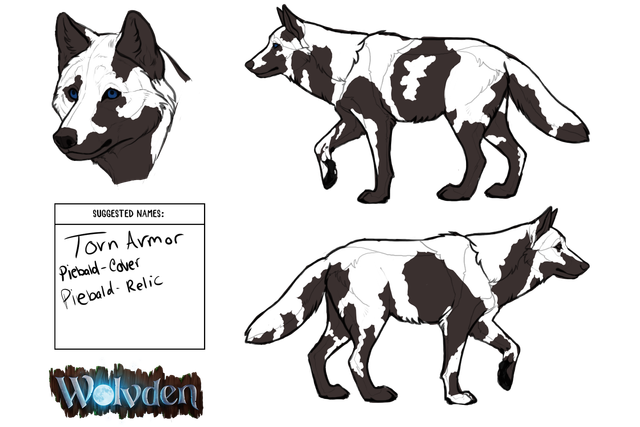 Piebald: Torn armor |:| Wolvden