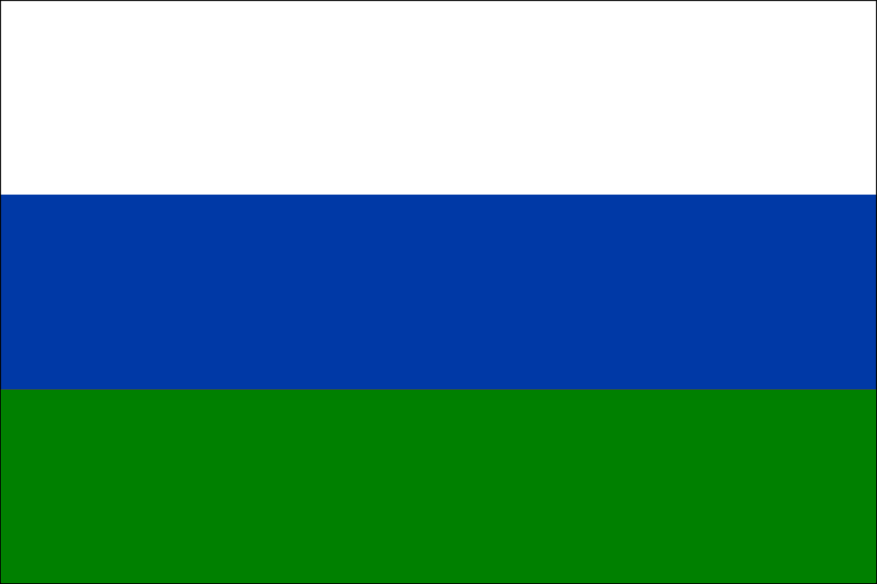 If the Siberian National Republic could change flag after Petlin's coup ...
