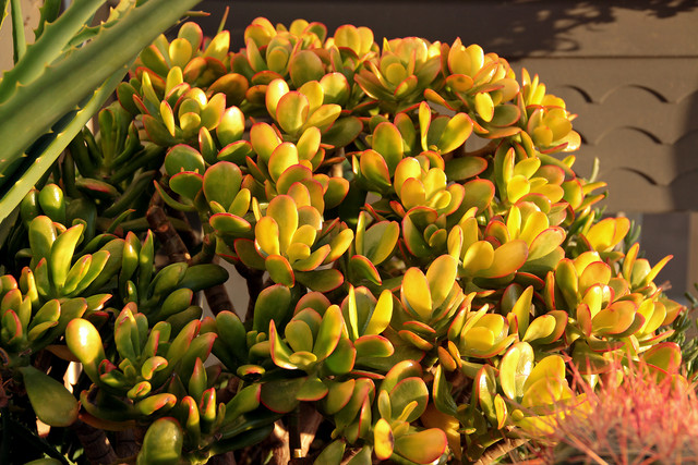 IMG-2538 hosted at ImgBB — ImgBB