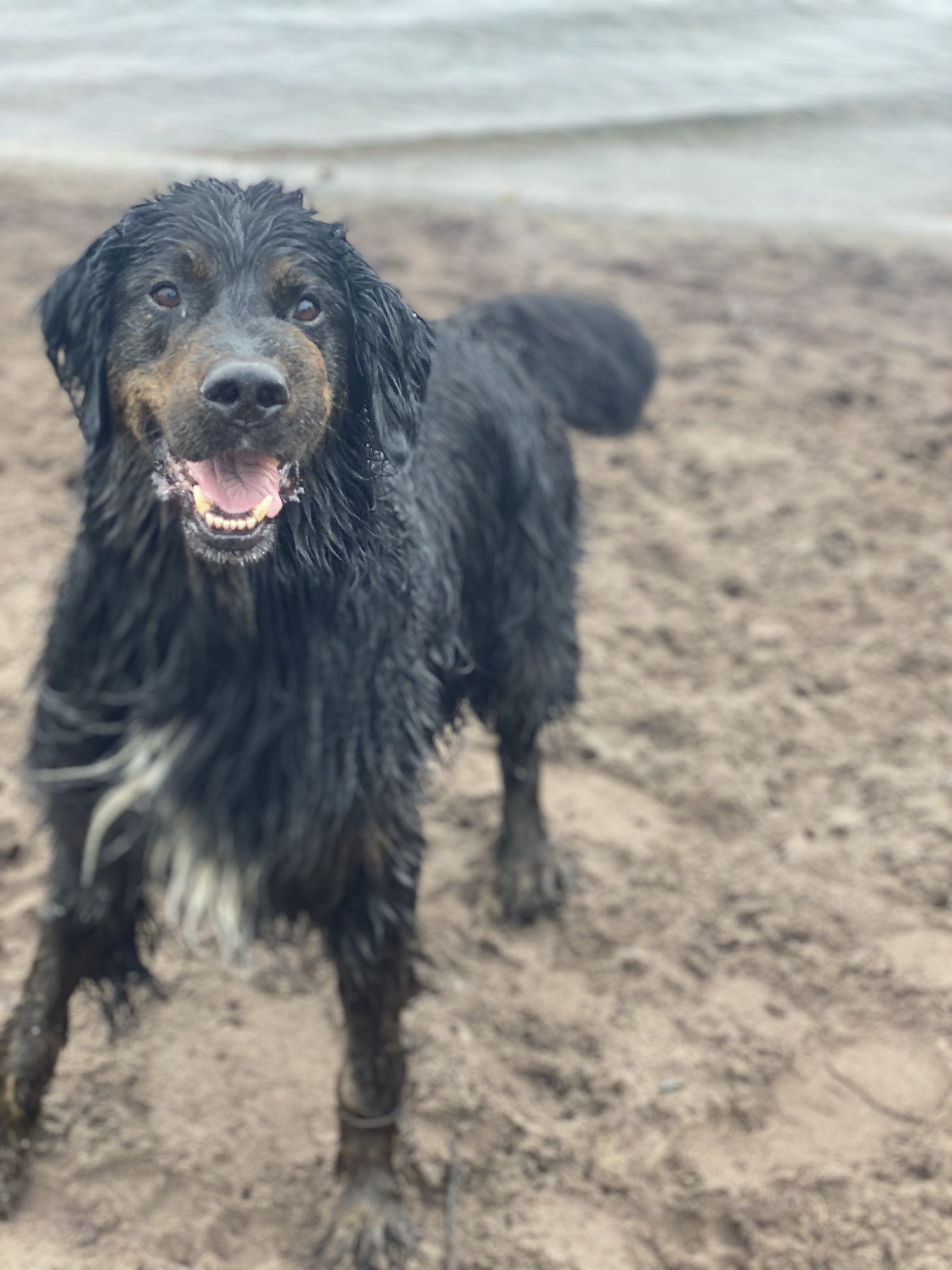 7741-E0-AA-67-E1-4963-BFBA-8-D31-BD618-AA3 hosted at ImgBB — ImgBB