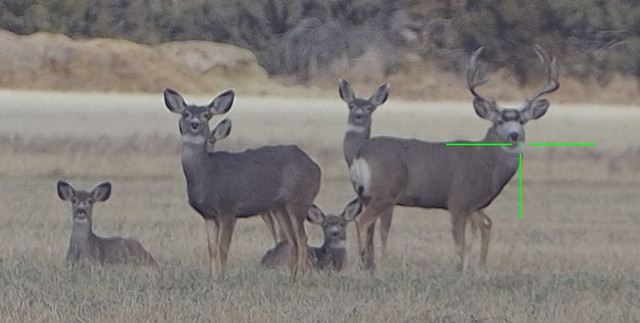 A BIG rack that won't disappoint. > General Discussion > AR15.COM