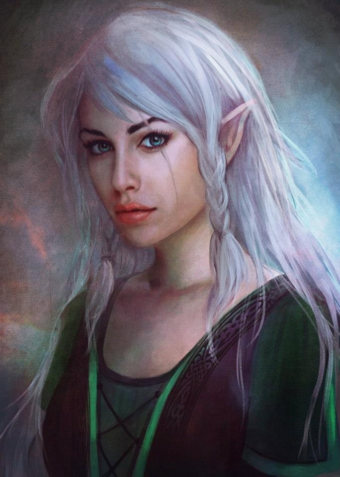 The Chronicles of an Elven Adventurer (D&D 5e; Original Setting ...