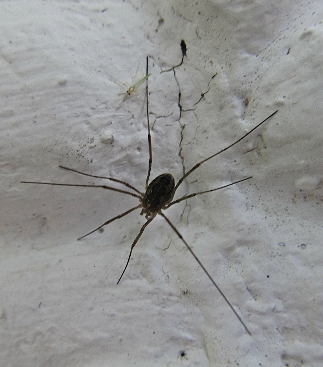 IMG-2563-5 hosted at ImgBB — ImgBB