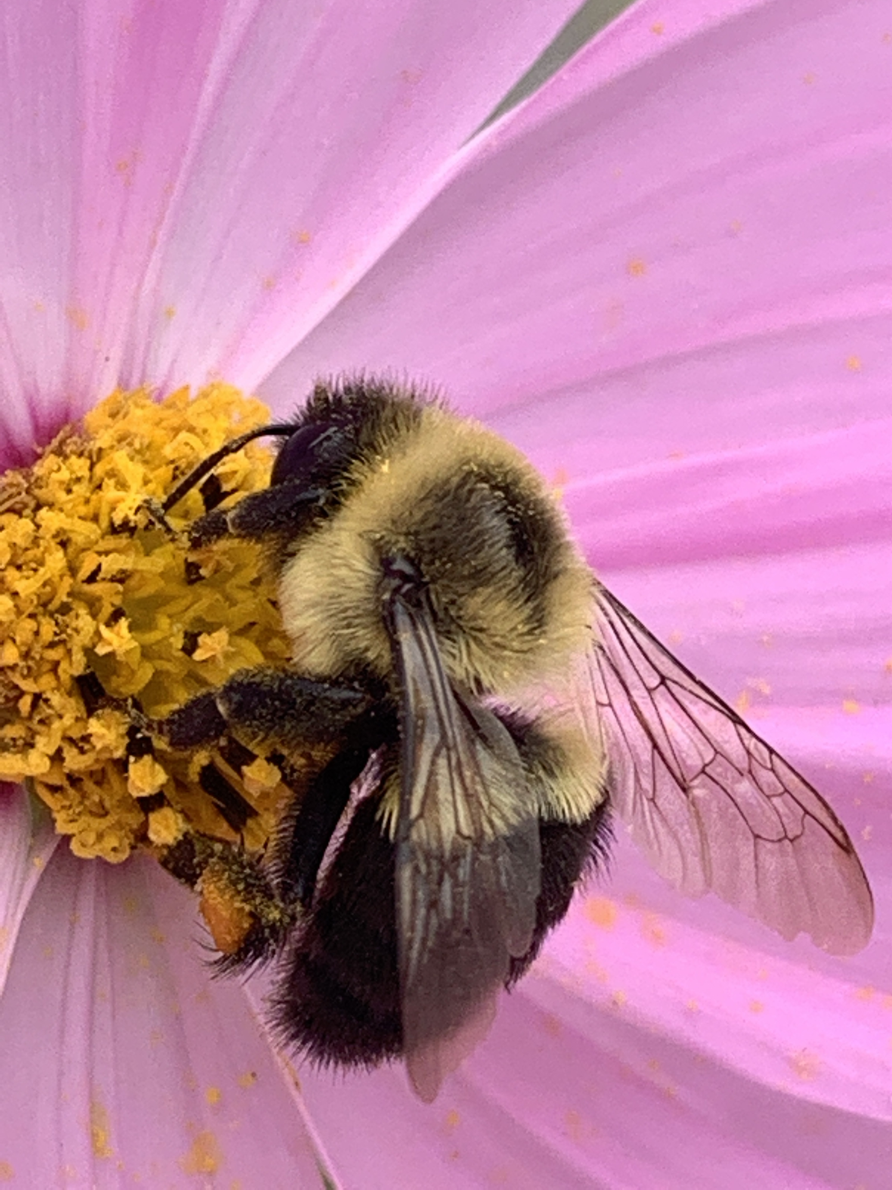 C745-D133-0974-4-A70-A2-EC-0-AB9-E4457-A69 hosted at ImgBB — ImgBB