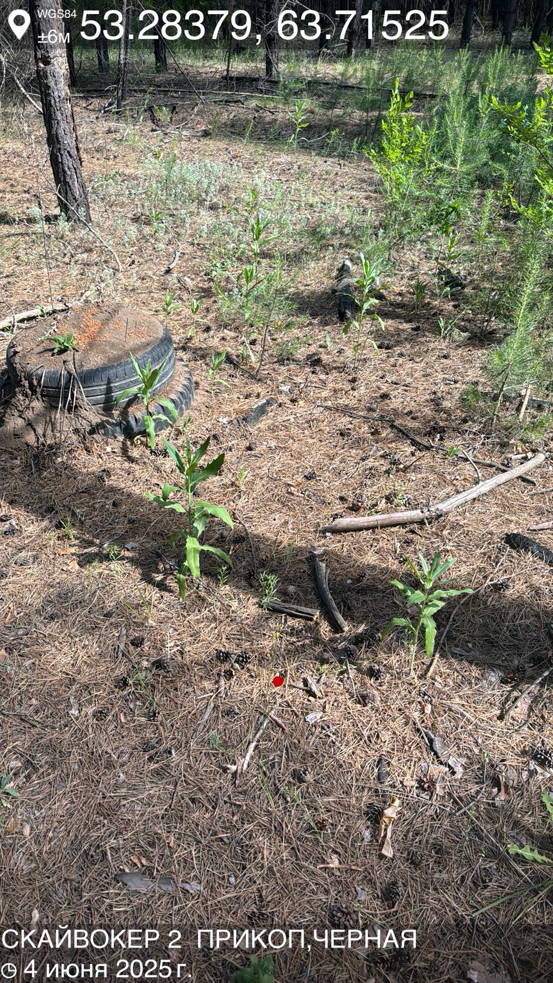 IMG-7946 hosted at ImgBB — ImgBB