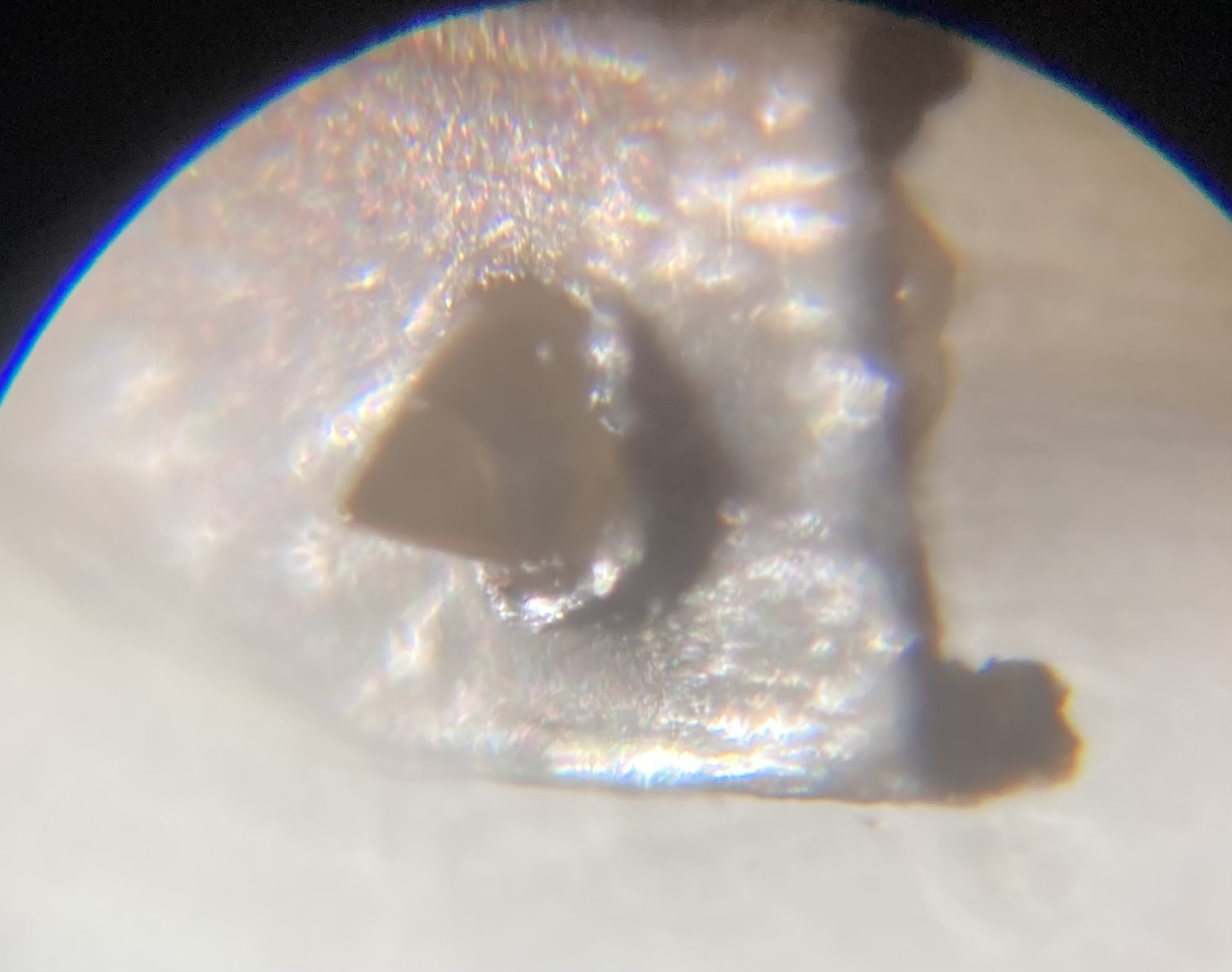 Conical stylus, good surprises of modest cartridges | Steve Hoffman ...